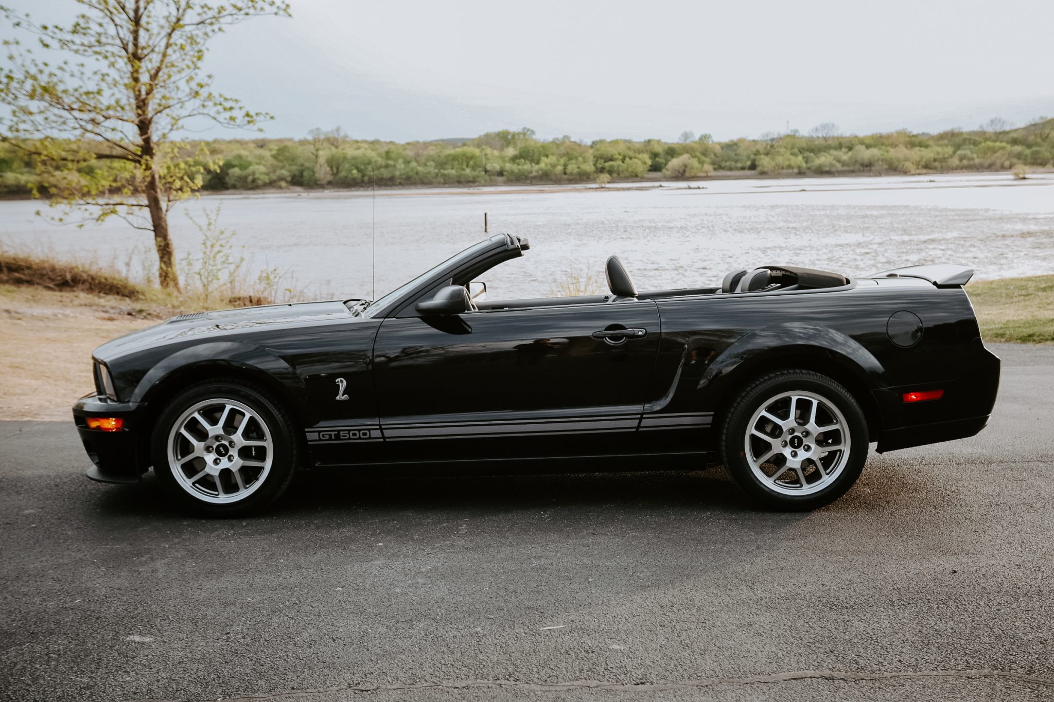 2007 Ford Mustang Shelby GT500 Convertible – Chalo Auto Sales